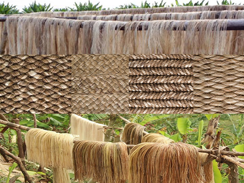 Abaca Fiber Uses at William Rohde blog